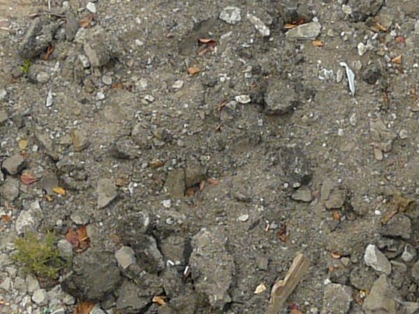 garbage on the ground texture 0005 - Texturelib